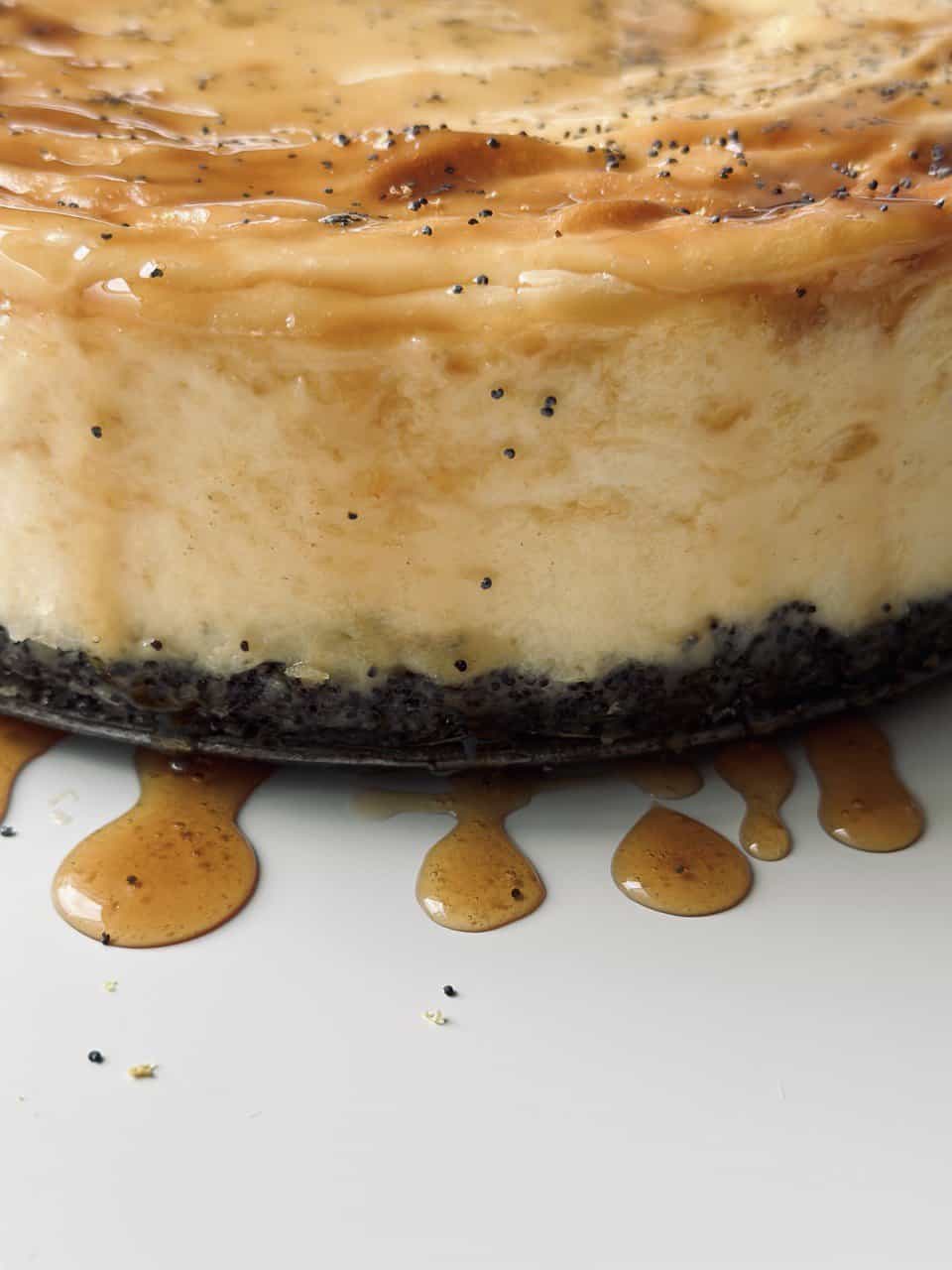 Creamy Lemon Cheesecake With Poppy Seed Crust - A pinch of Zest